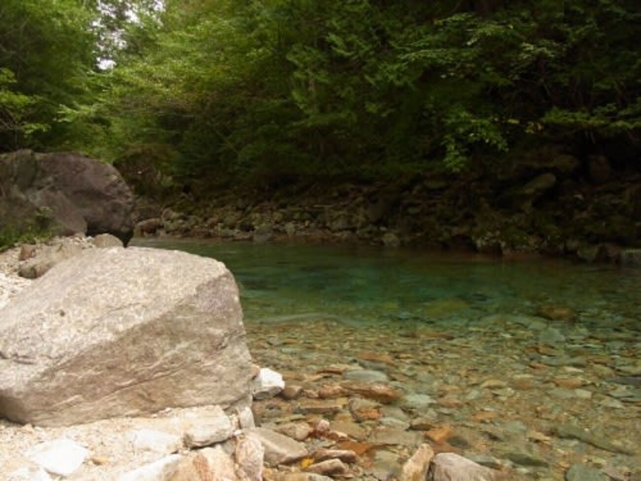 最後のヤマト Sep.25 - Forest Sync.