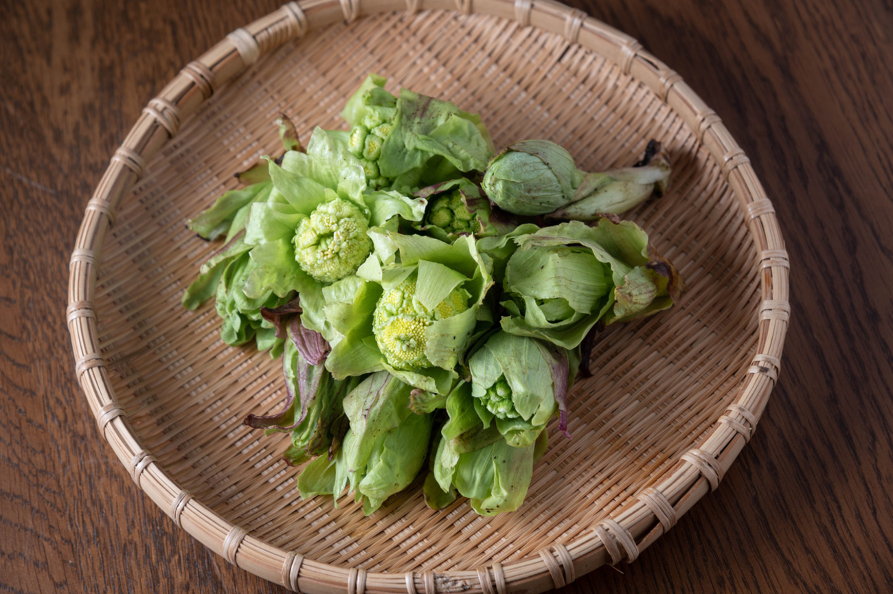 《季節の薬膳食材一覧》 — 春夏秋冬の“身体が喜ぶ食材”を一目でチェック — - 田中鉄也 オンド.com NATURAL TASTE by ...