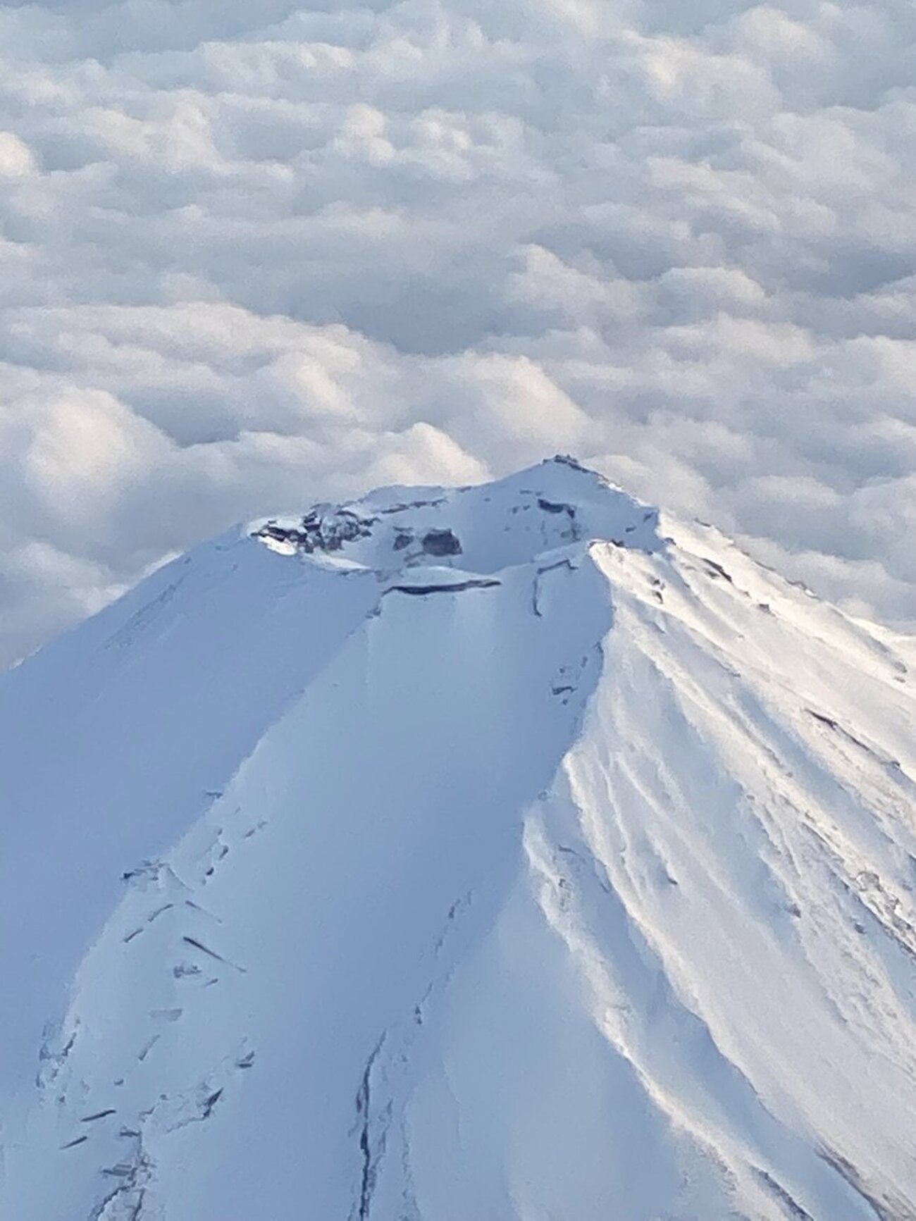 翻訳；杉田水脈議員（自民党）のツイート（on '23. 4/1) - Irresponsibly Writing Japanese