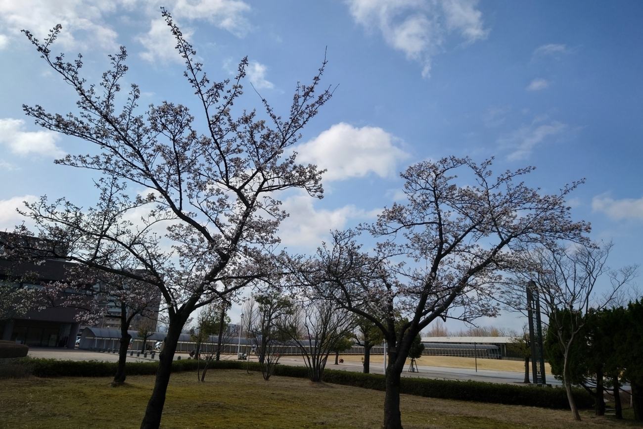 【2025】さらばゴールデンウィーク！のハナシ【大型連休】 - 新潟と紫とプロレス