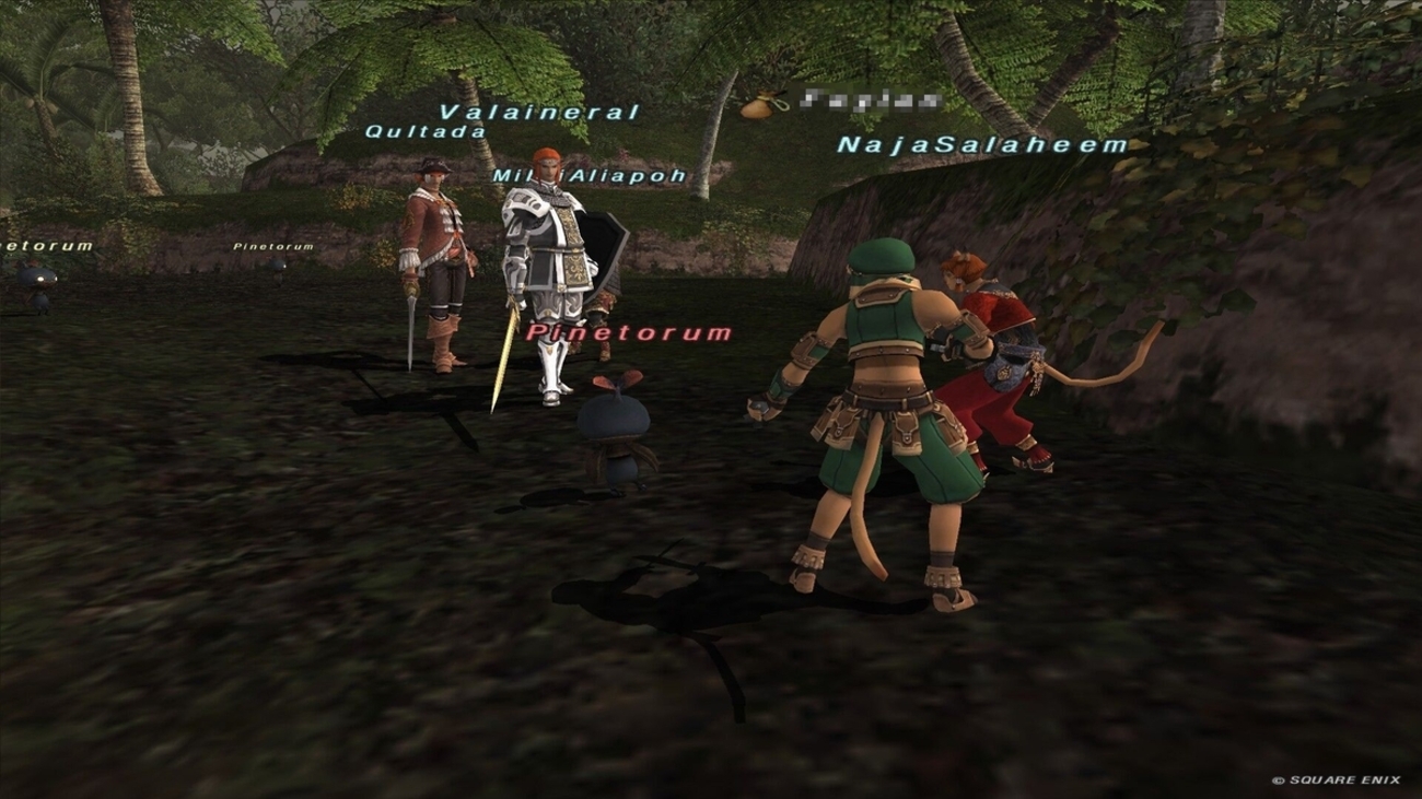 【FF11復帰者の冒険録】猫シーフ、レベル上げのためにLv96↑の狩場を巡る（アドゥリン：ヤッセの狩場） - Mobilog