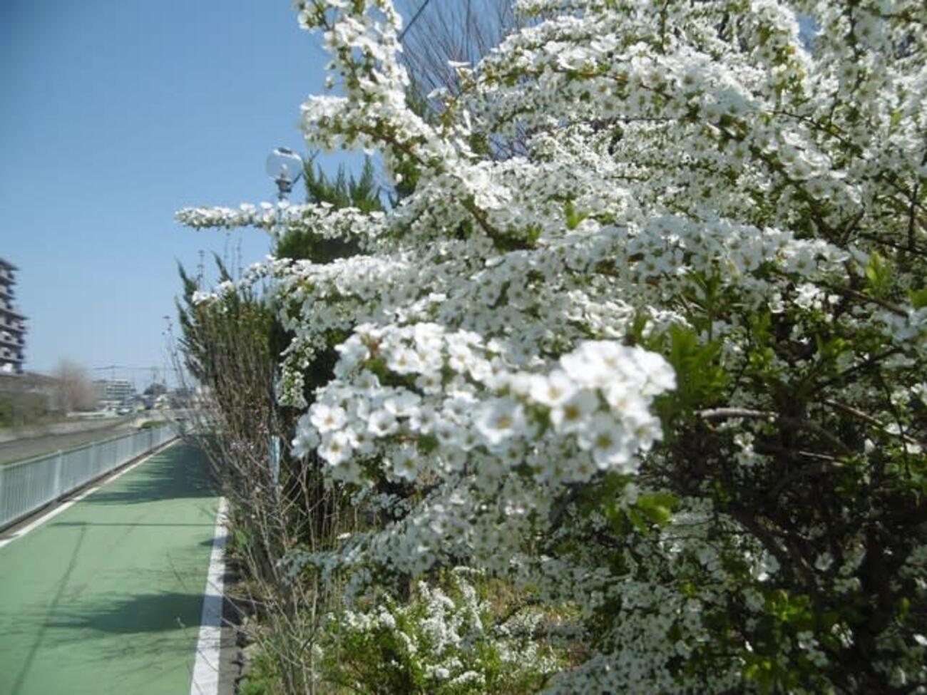 神戸戦マニアック分析 - Kobby loves 埼玉＆レッズ