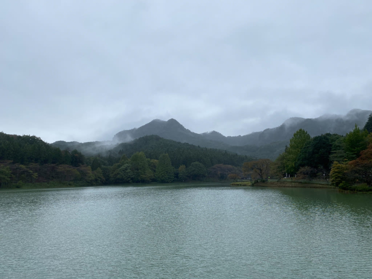 ジャパンカップ2019チャレンジレースとオープンレース - spacevision