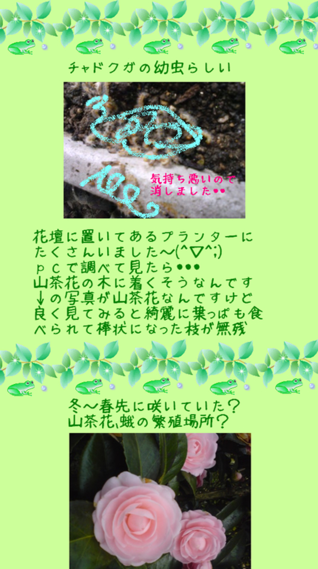 大量発生～(~_~;) - メランコリーキッチン