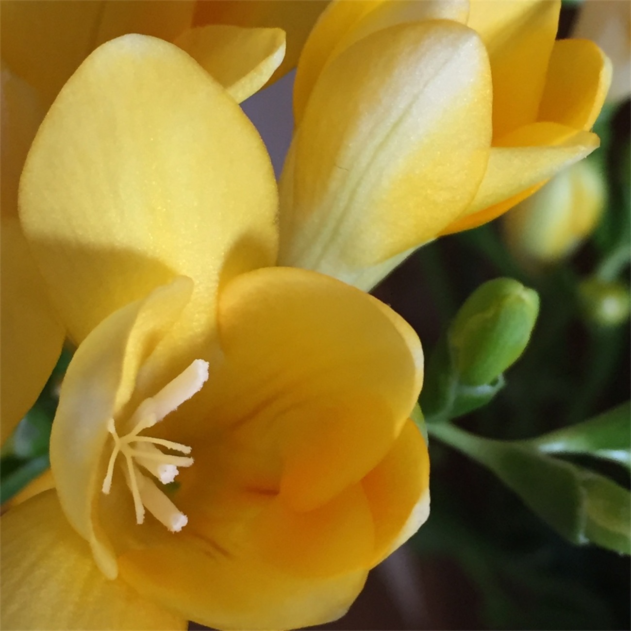 エサレンボディーワーク☆ご感想 - Esalenbodywork&Aromatherapy〜和みのサロン∞nakwach∞のブログ