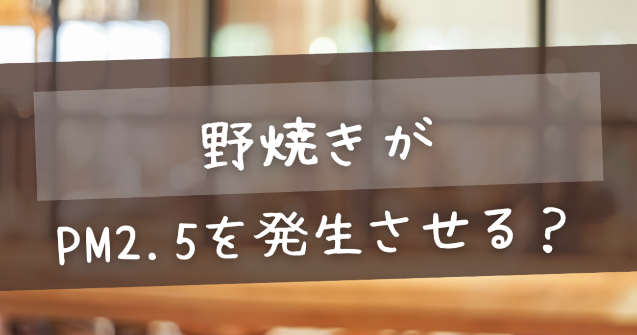 野焼きがPM2.5を発生させる？大気汚染のメカニズムとリスクを解説 - dokodeの記録