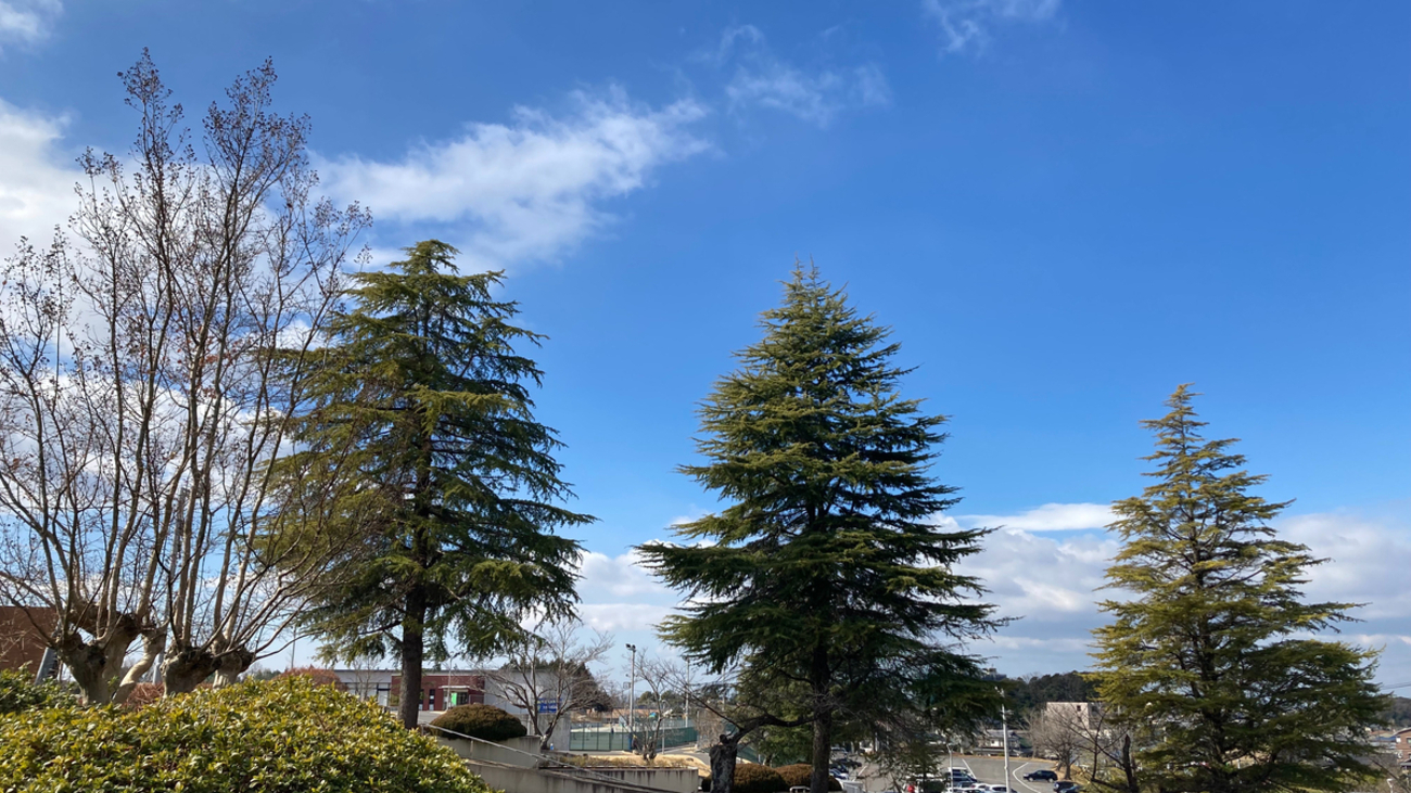 コメントですが… - ariya_cafe1764’s diary