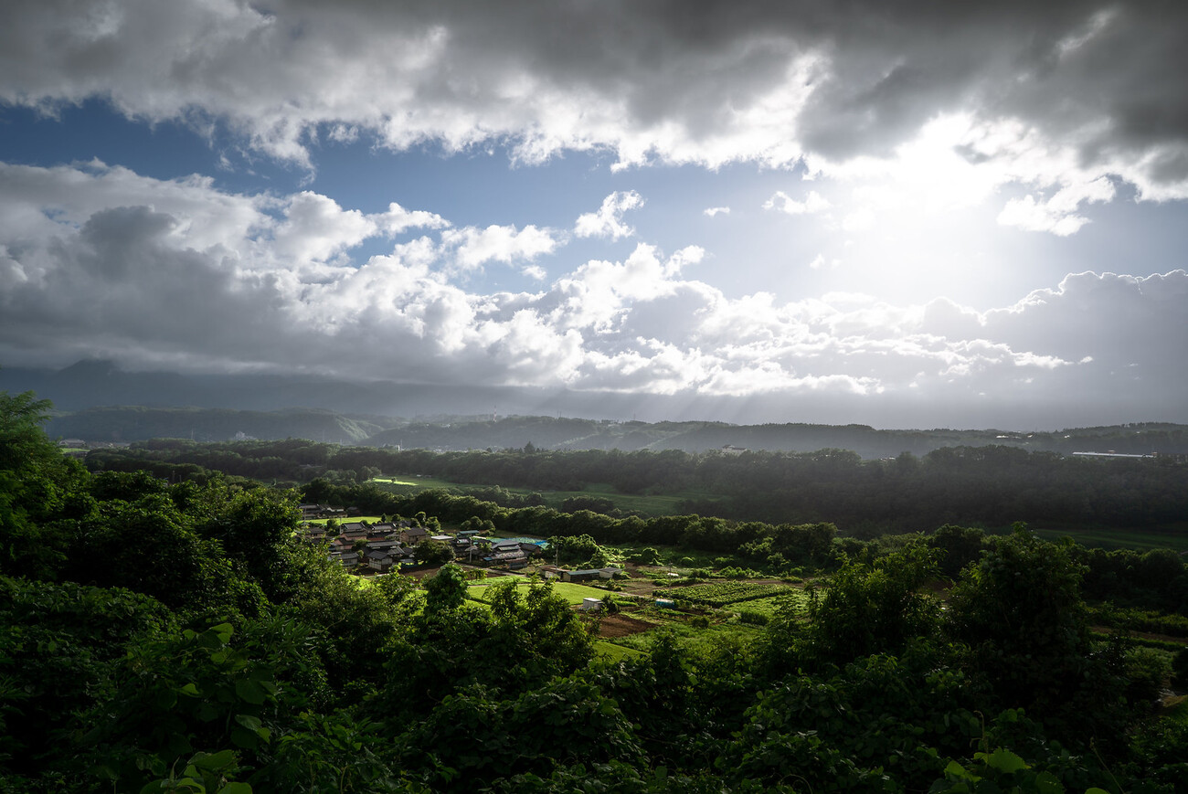 Nature snap #34 - An Ordinary Moment
