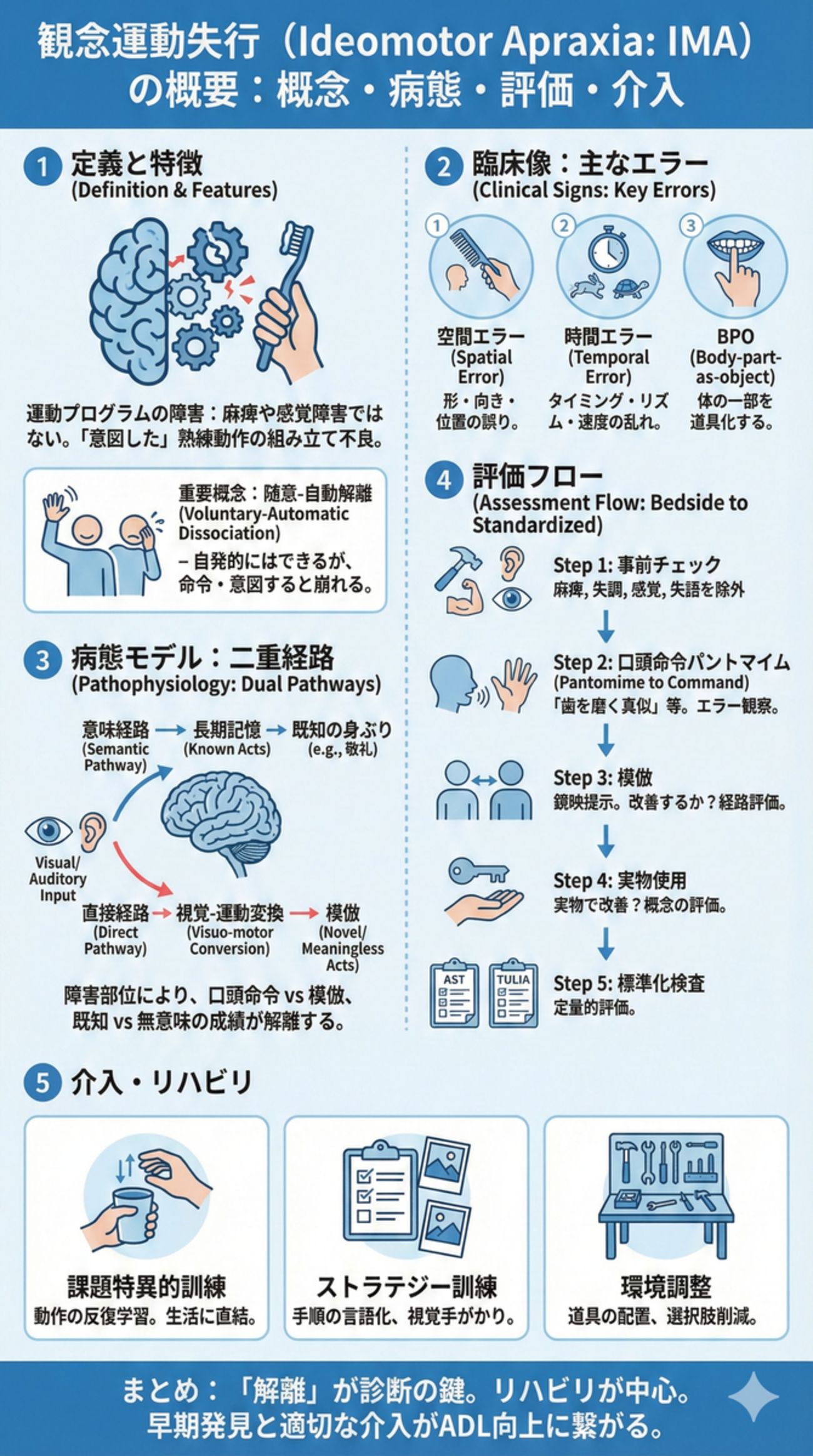 観念運動失行（Ideomotor Apraxia）：概念・病態・診察法の総説 - 医知創造ラボ ～脳神経内科医がAIで紡ぐ最新医療情報～