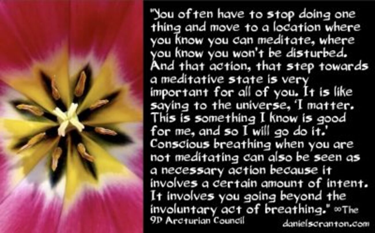 9次元アルクトゥルス評議会：アセンションするために毎日できる5つのステップ - cactus567のブログ