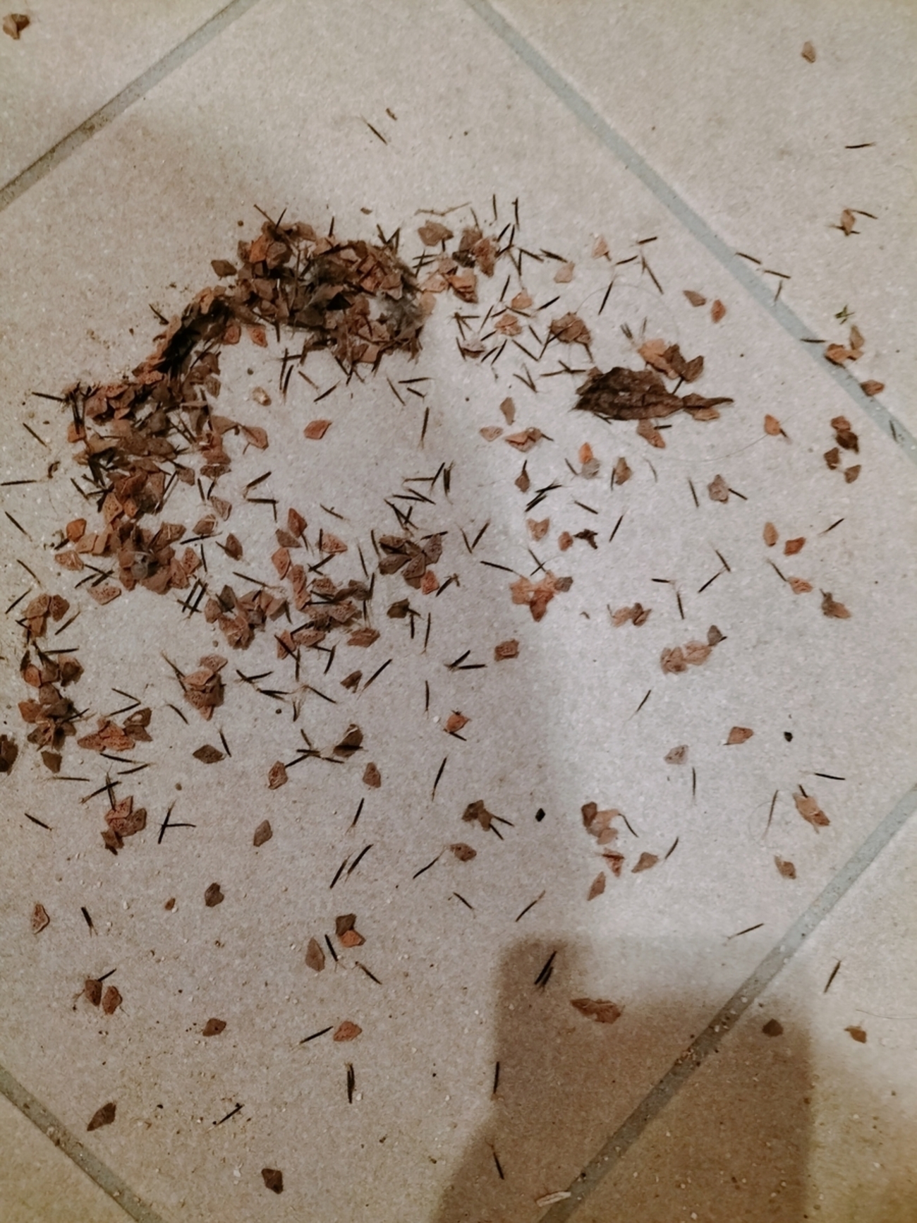 あなたに似合うヘアスタイルはこれです④ - meis-solution56’s blog