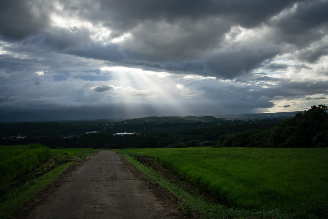 Nature snap #30 - An Ordinary Moment
