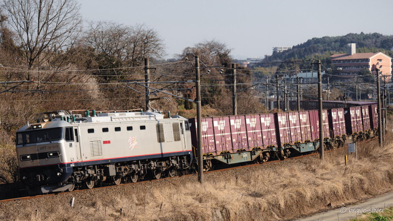 2025/03/08 4093レ EF510 313号機 - 潔く銀の鉄道写真館
