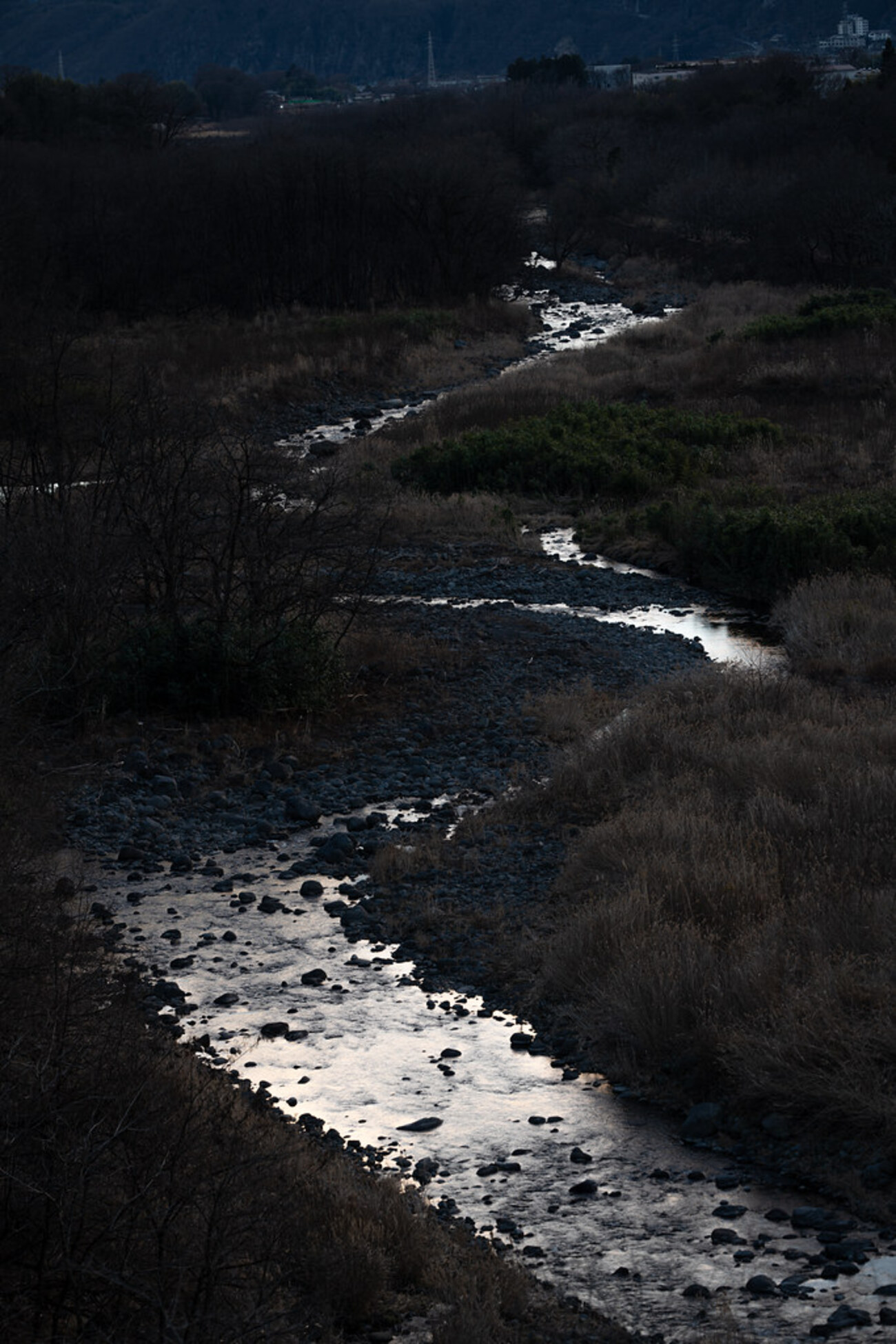 Nature snap #22 - An Ordinary Moment