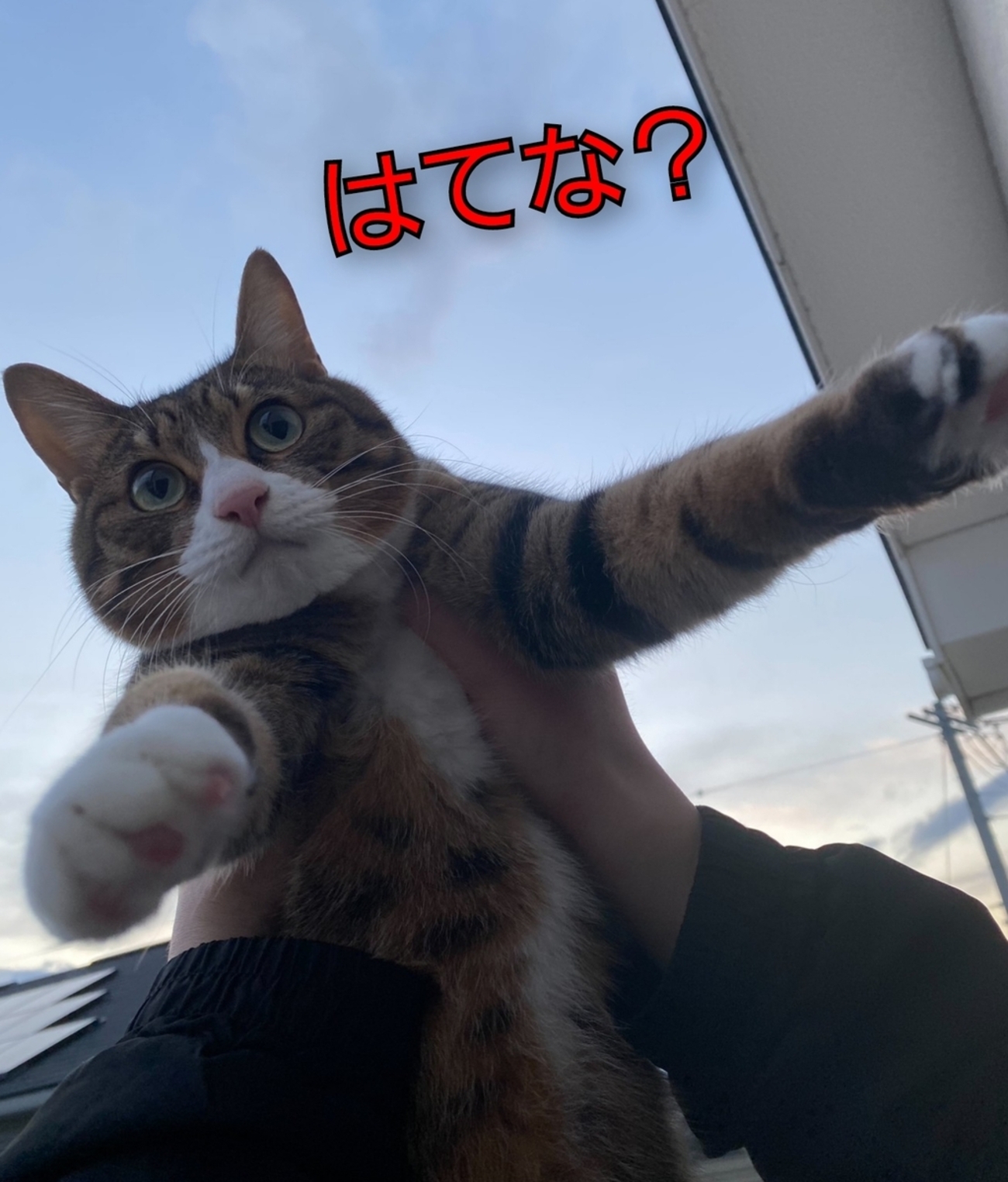 初 はてなブログ - ぼるしち日和