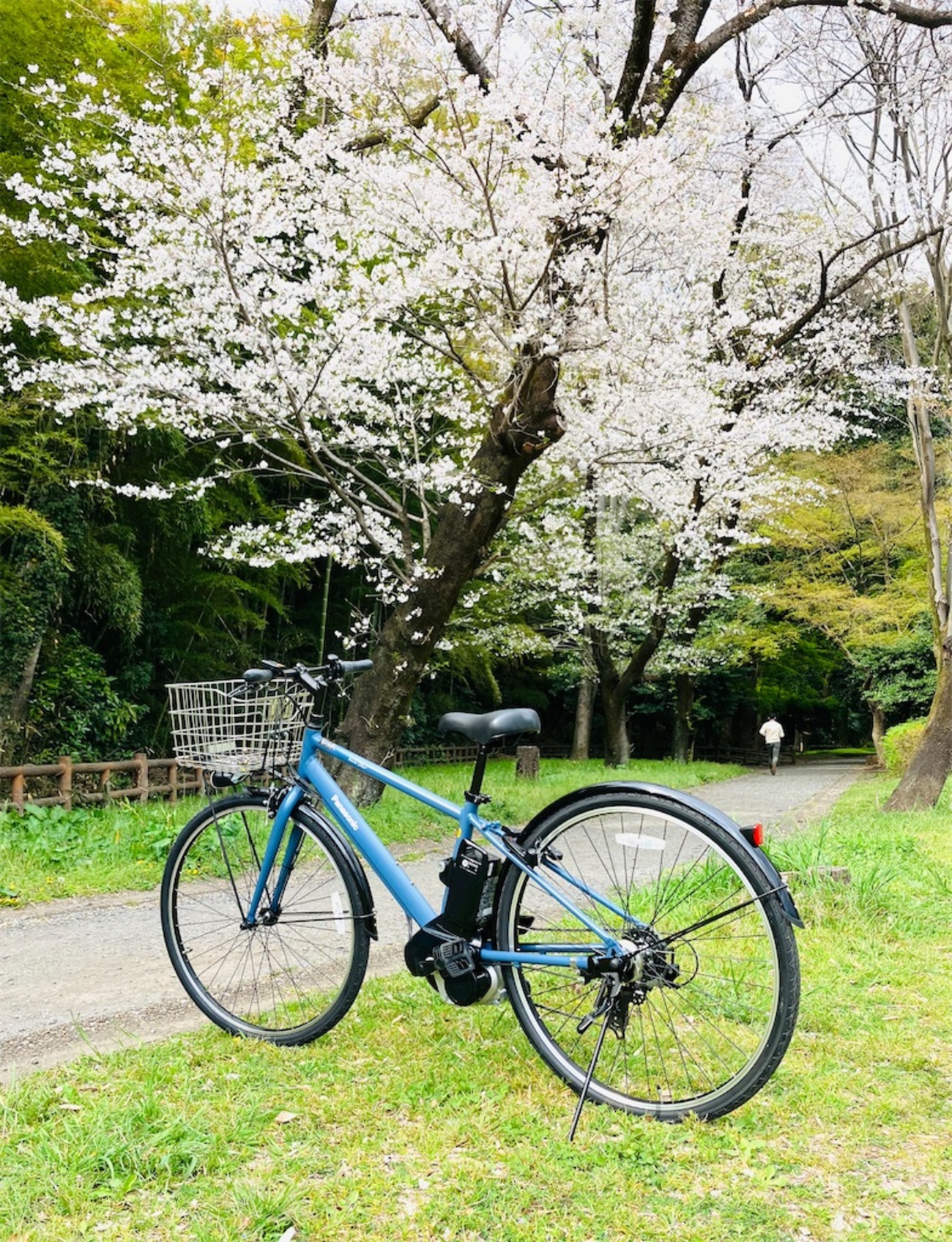 何でしょう？ - shunkun's blog