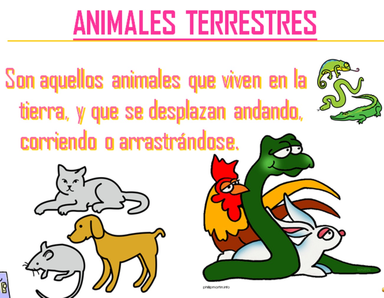 Animales Terrestres Y Acuaticos Para Ninos - citasanxivo’s blog