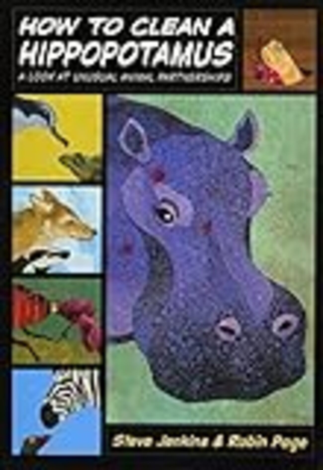 How to Clean a Hippopotamus: A Look at Unusual Animal Partnerships 動物 ...