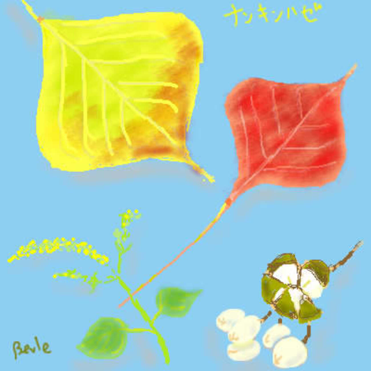 陶芸教室：ナンキンハゼを描く - ベルルのお絵かき・ふりーくPart2