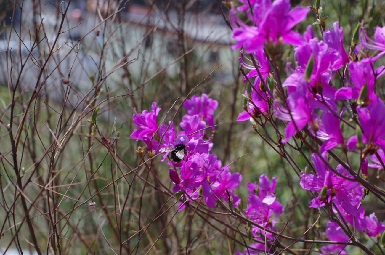 広島県運転免許センターにて（その5） - 『ケーキなどを焼いてみる』tecchox’s blog