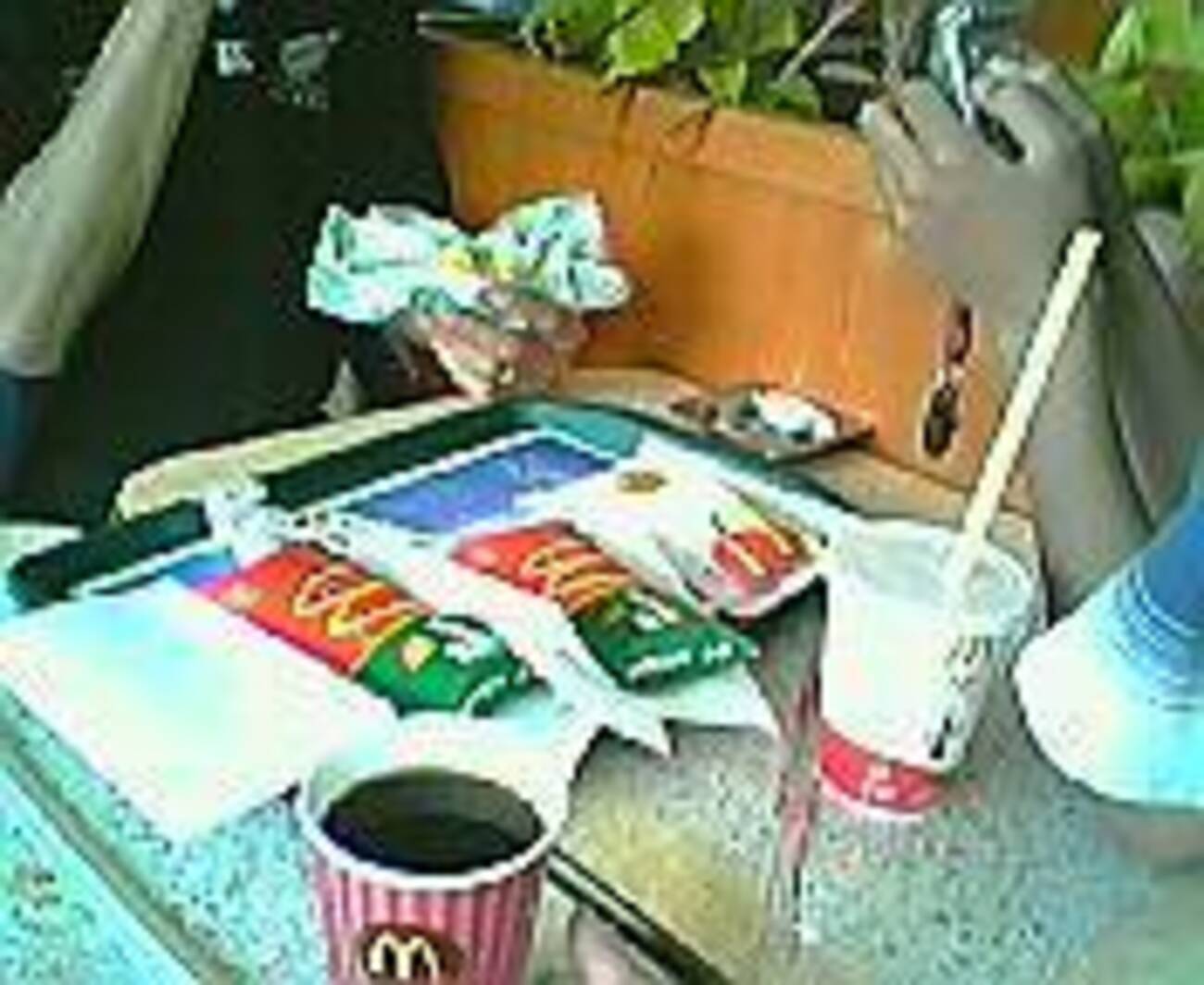 朝マック - どんぐりの木の下で