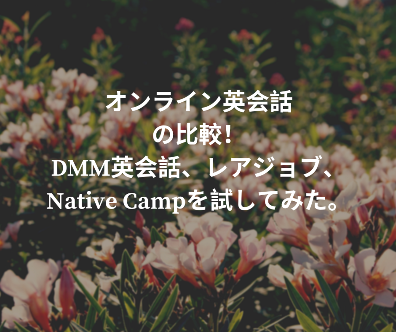 オンライン英会話の比較！DMM英会話、レアジョブ、Native Campを試してみた。 - チョコベリーライフ
