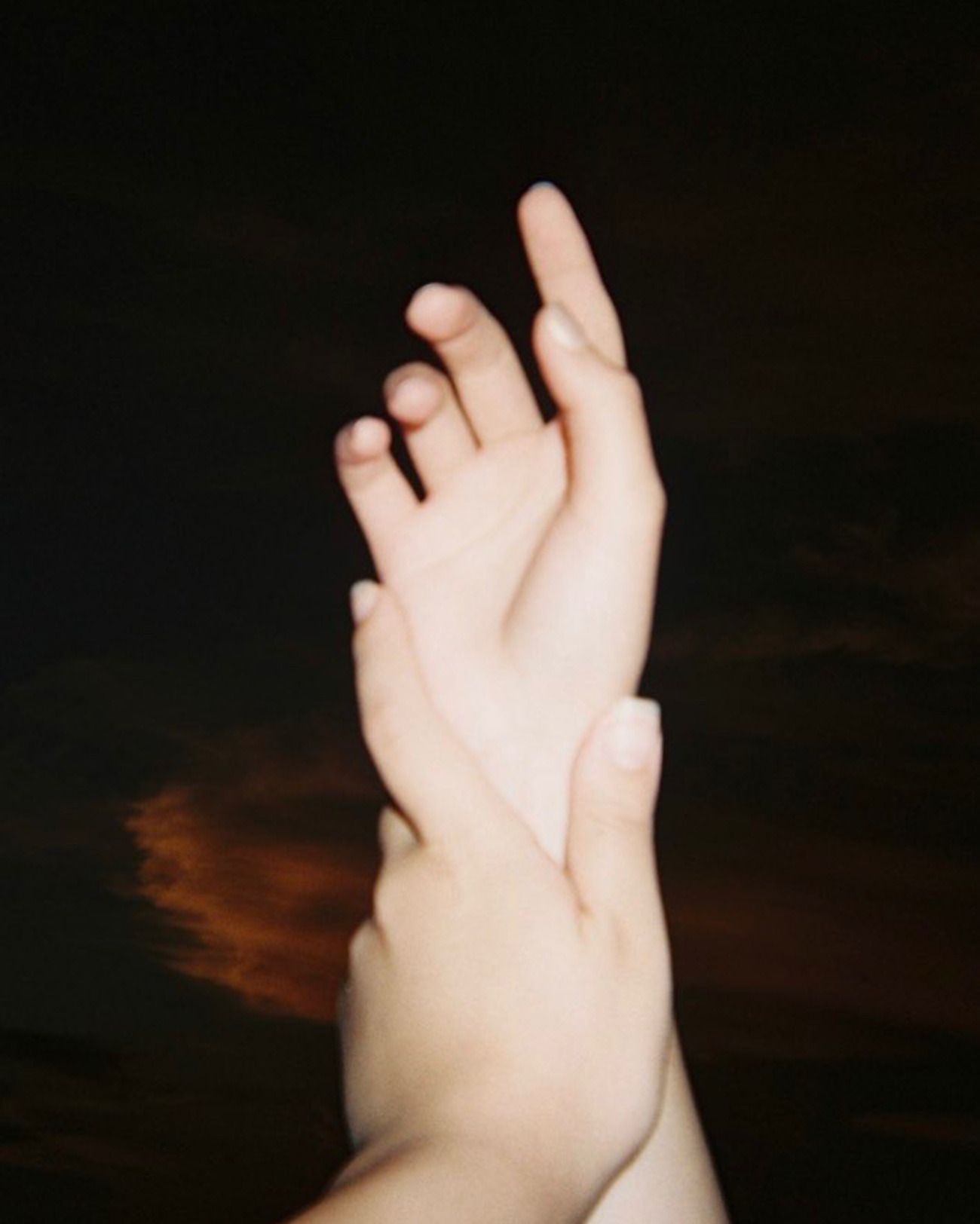 NEW BORN GHOSTについて - 菫