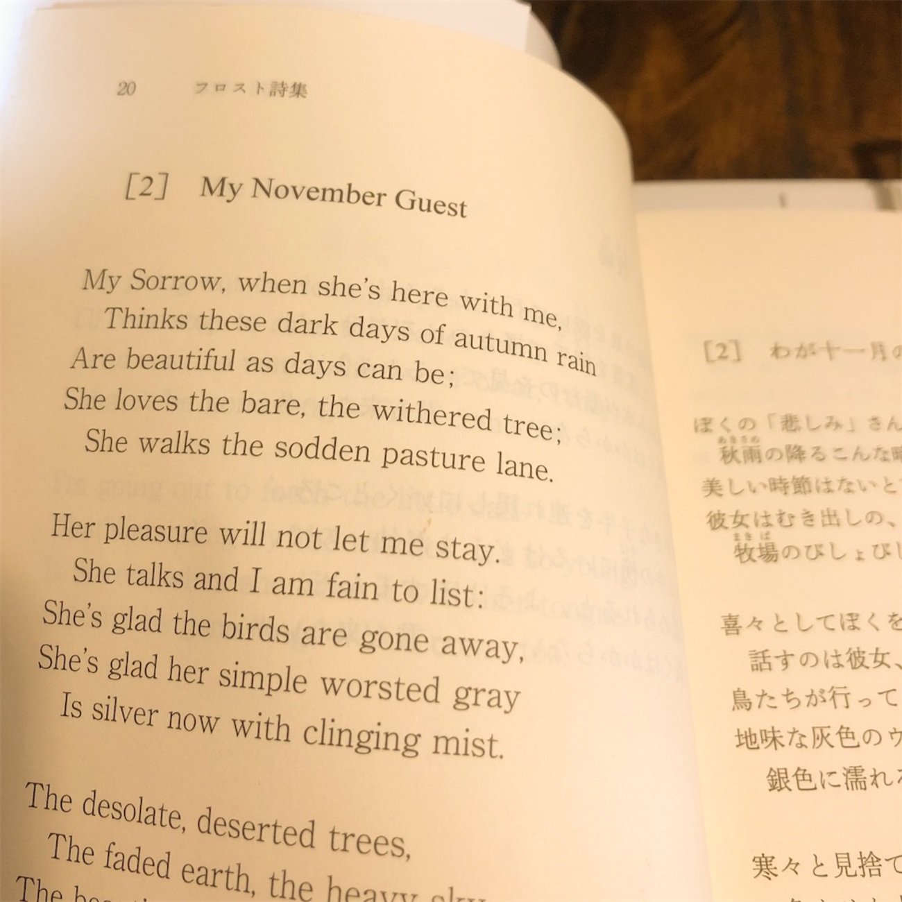 My November Guest - ひそひそまつり