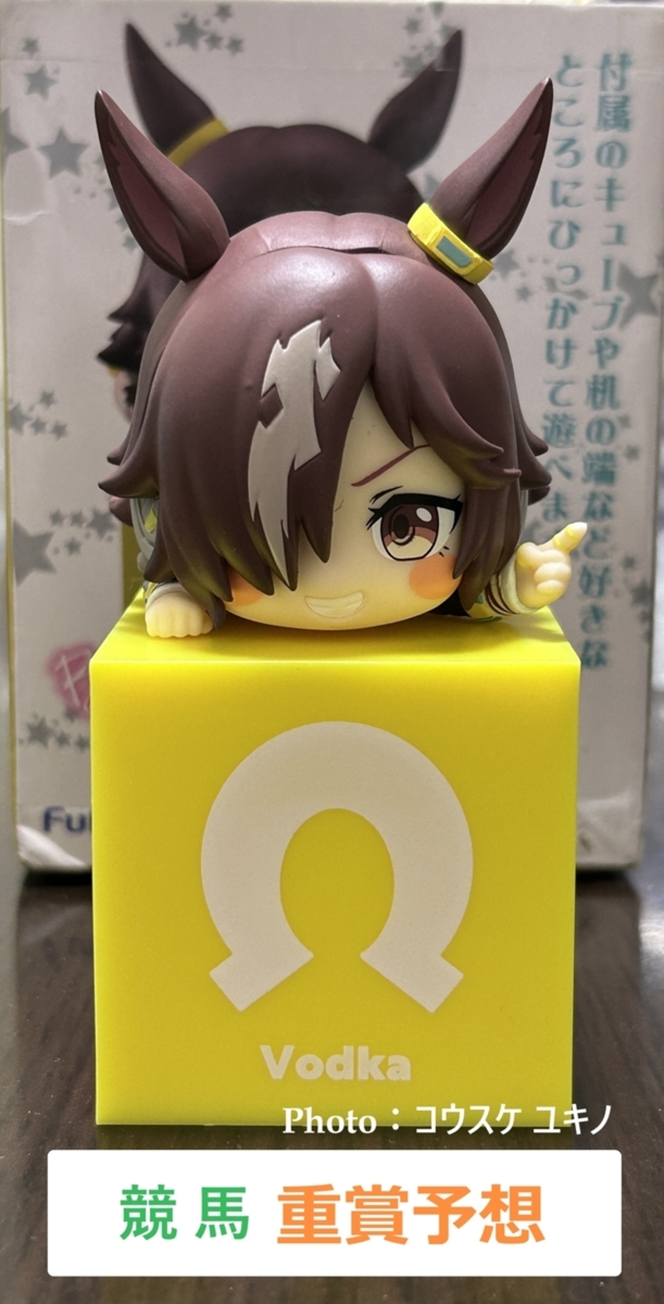 【競馬・JRA重賞予想】第66回宝塚記念(GⅠ) ≪6月15日(日)、阪神競馬場11R、15時40分発走≫ - 北極星特急の乗り物、ホビー、日常手記