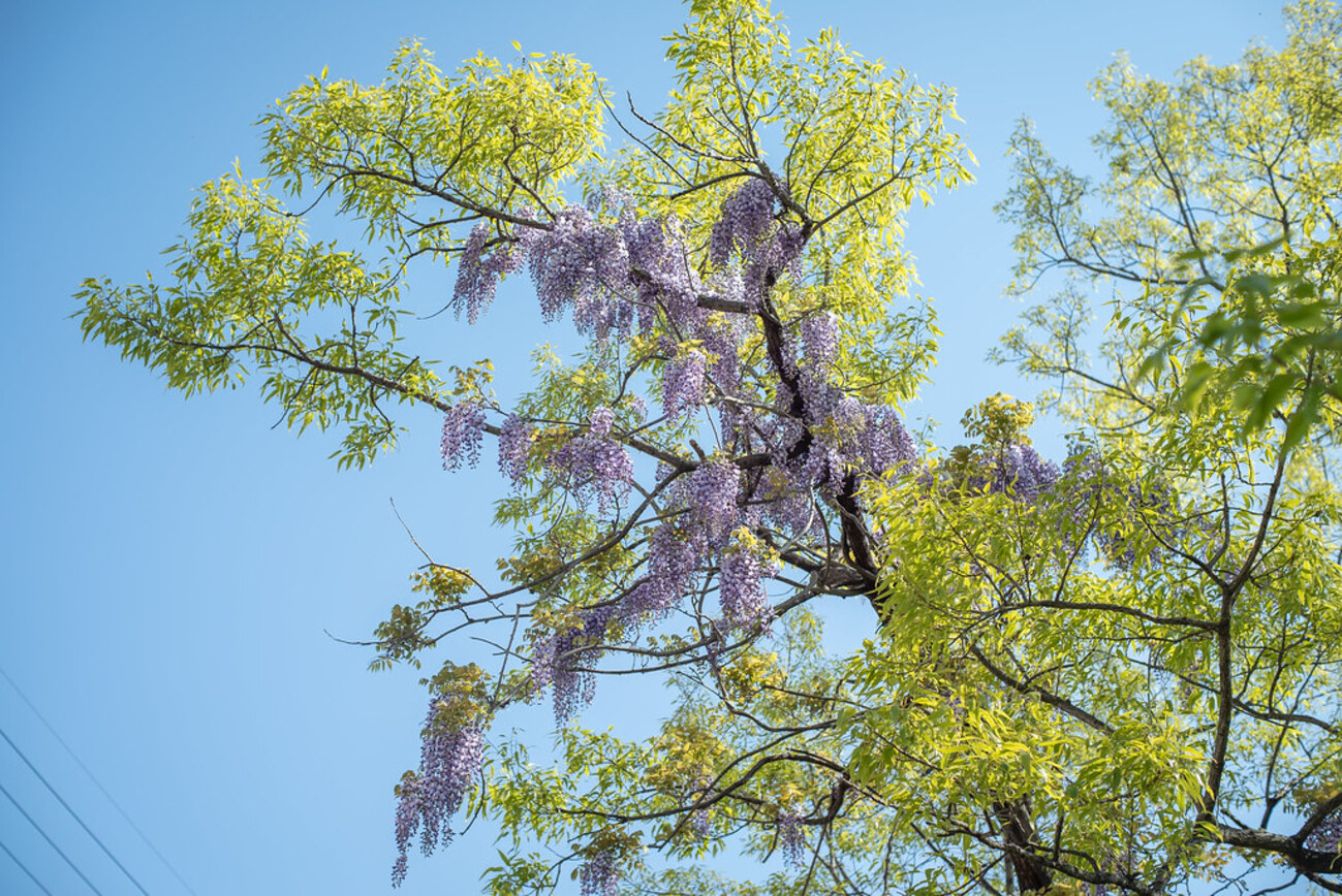 Nature Snap #44 - An Ordinary Moment