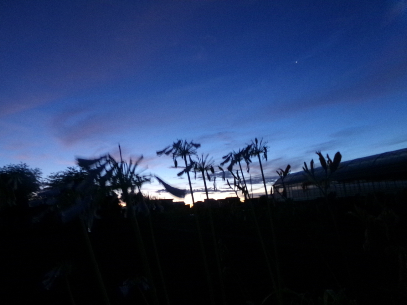 浜ちゃん90歳の散歩道(1287) 参加者はみんなが世界の大谷選手になった気分になれるのがリアル野球盤の魅力である - y_hamadaのブログ