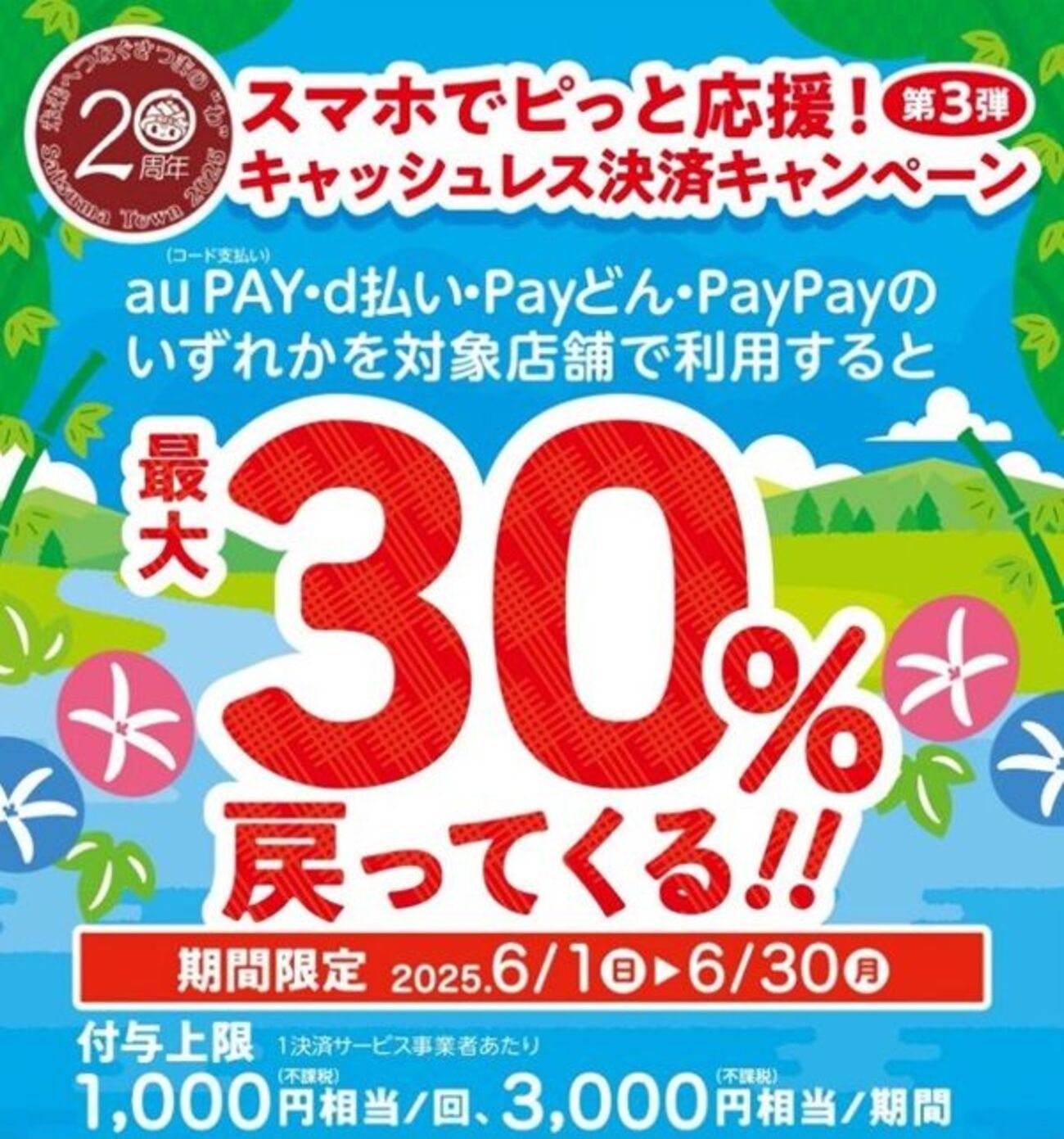 2025/6/30まで！さつま町でau PAY、d払い、Payどん、PayPayが最大30%還元キャンペーン！ - サイドバー シーナ