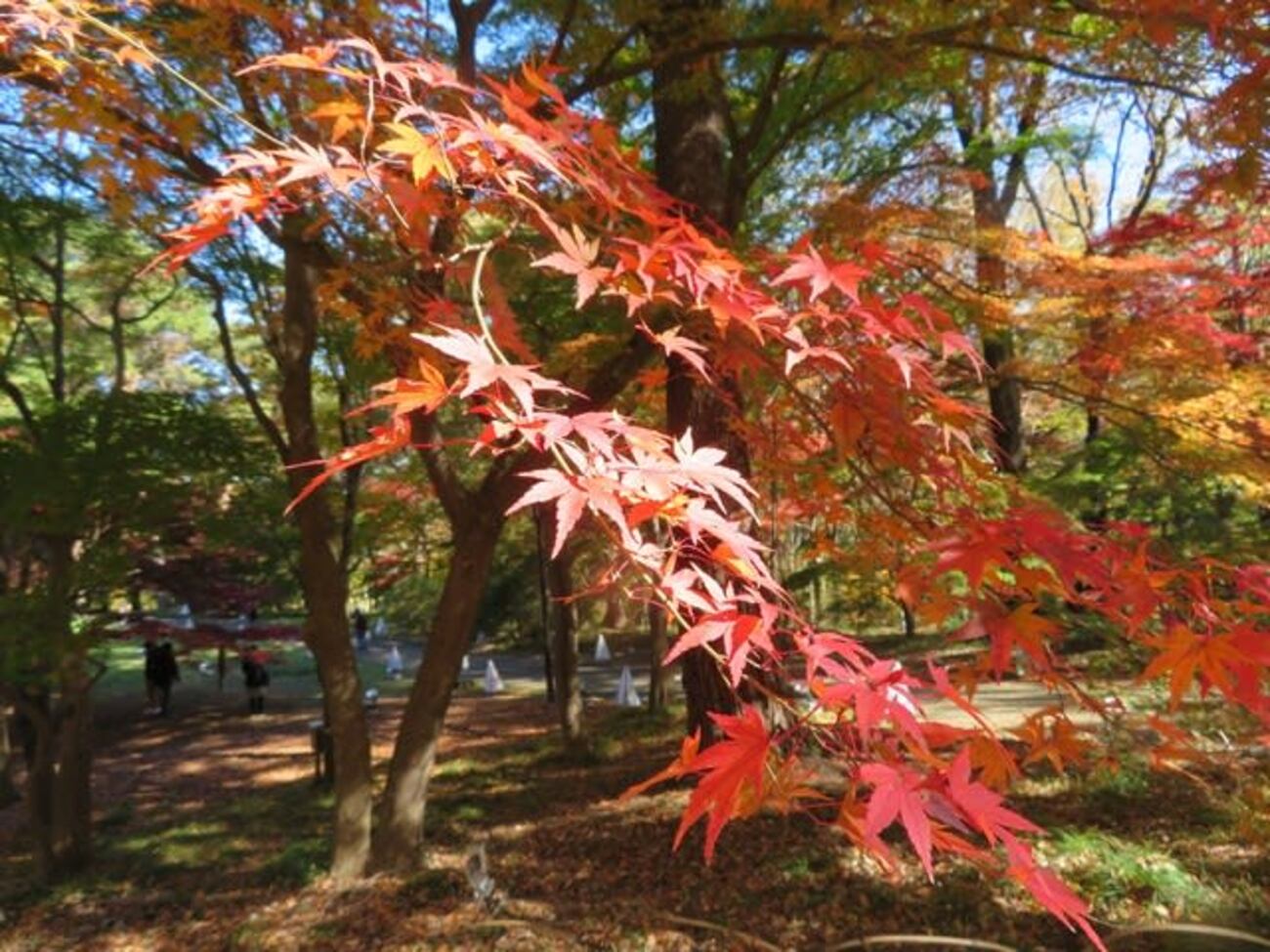 山岸範宏、現役引退 - Kobby loves 埼玉＆レッズ