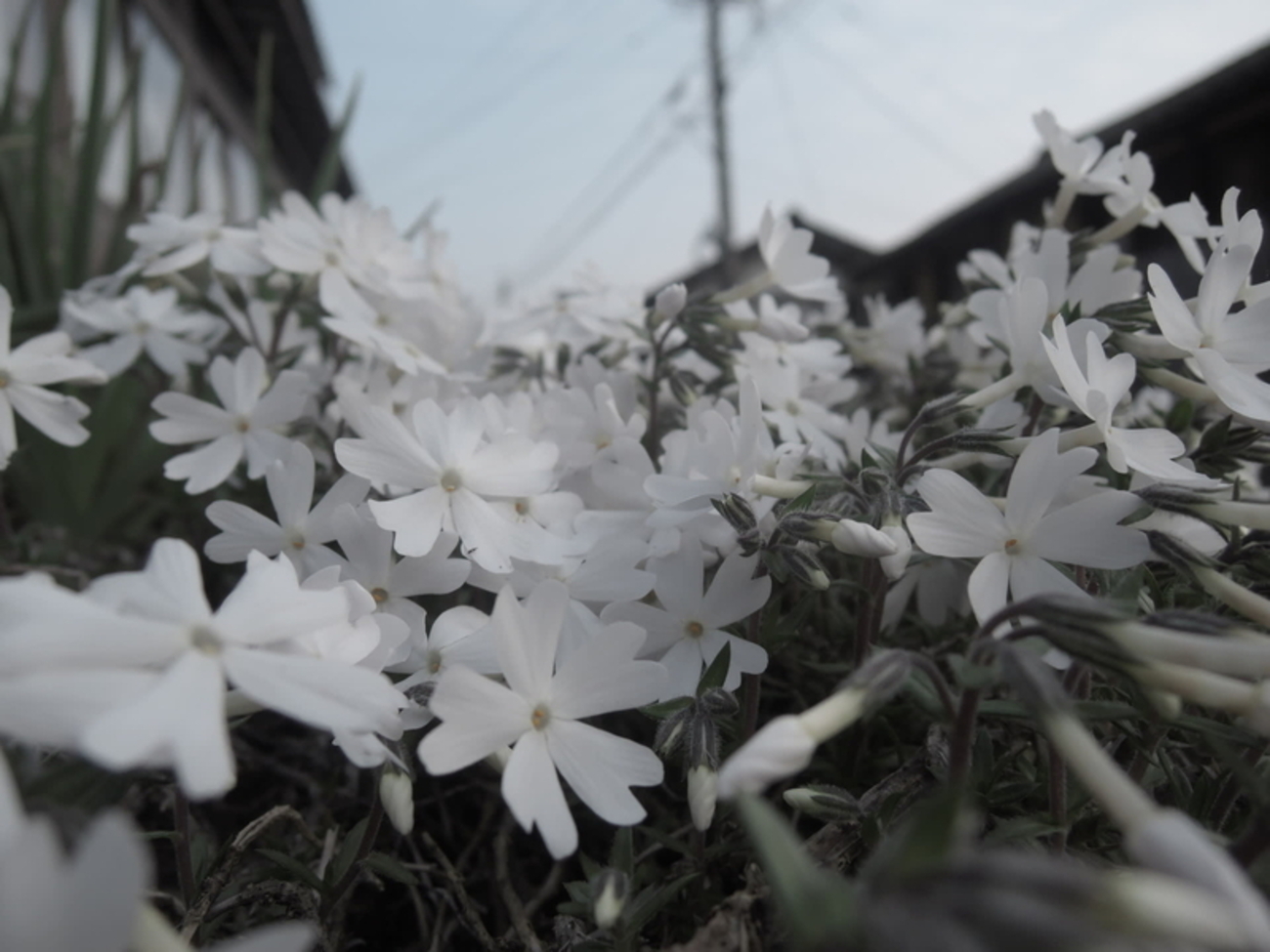 右に回せない - kicmac-time