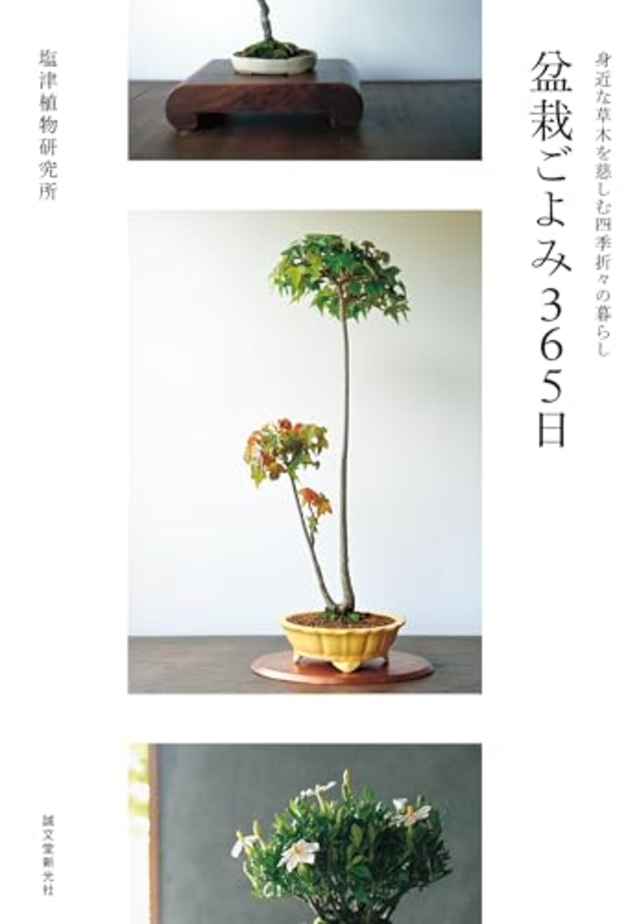 フローリスト人気連載「草木育種」をまとめ、加筆した『盆栽ごよみ365日』 - mojiru【もじをもじる】