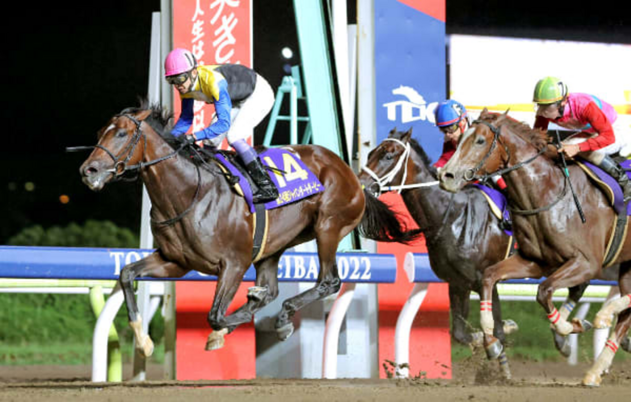 2023年 ジャパンダートダービー[Jpn1] - jinsei-saicyoukyou’s blog