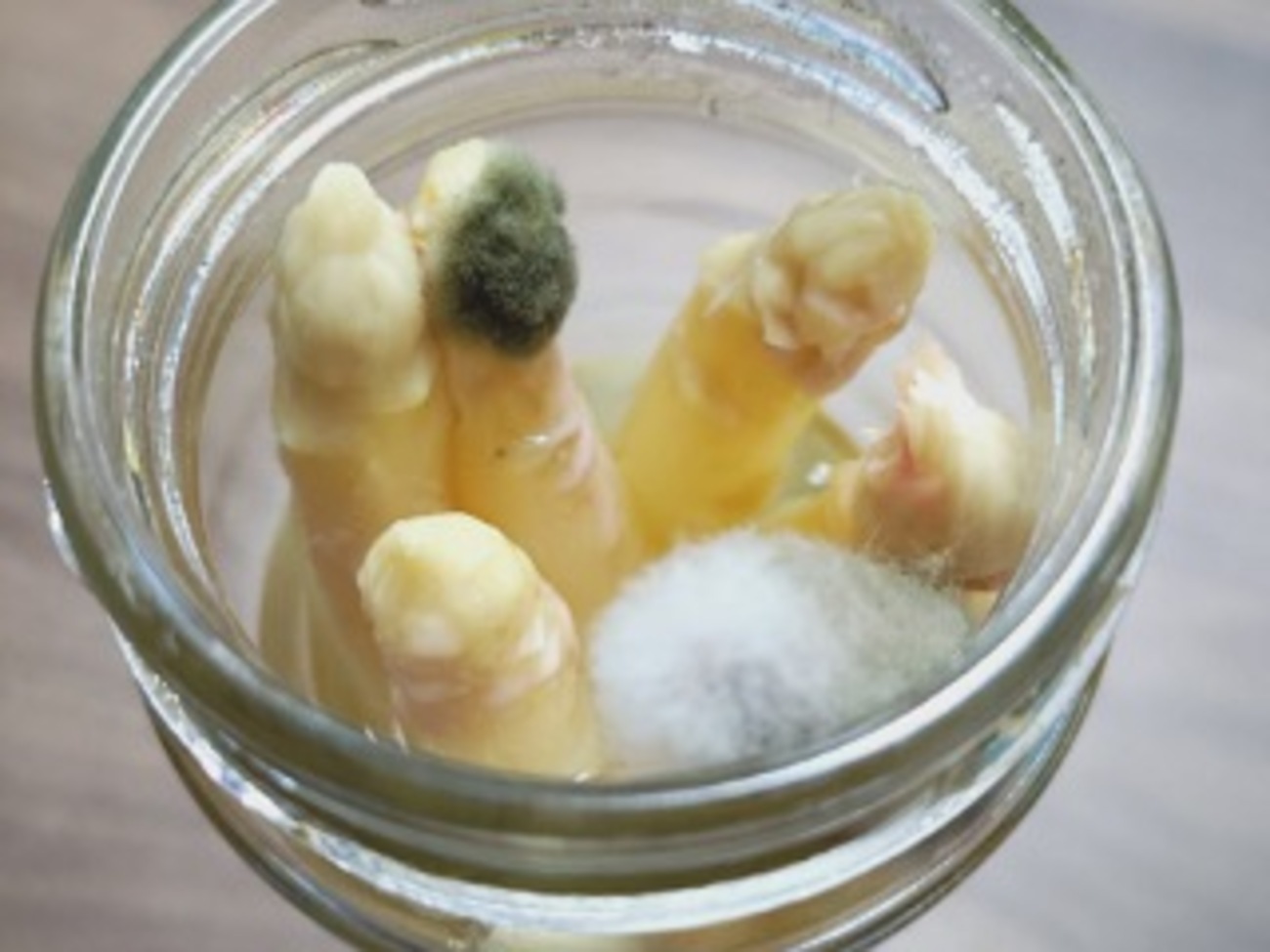 moldy - what's up YMK?!