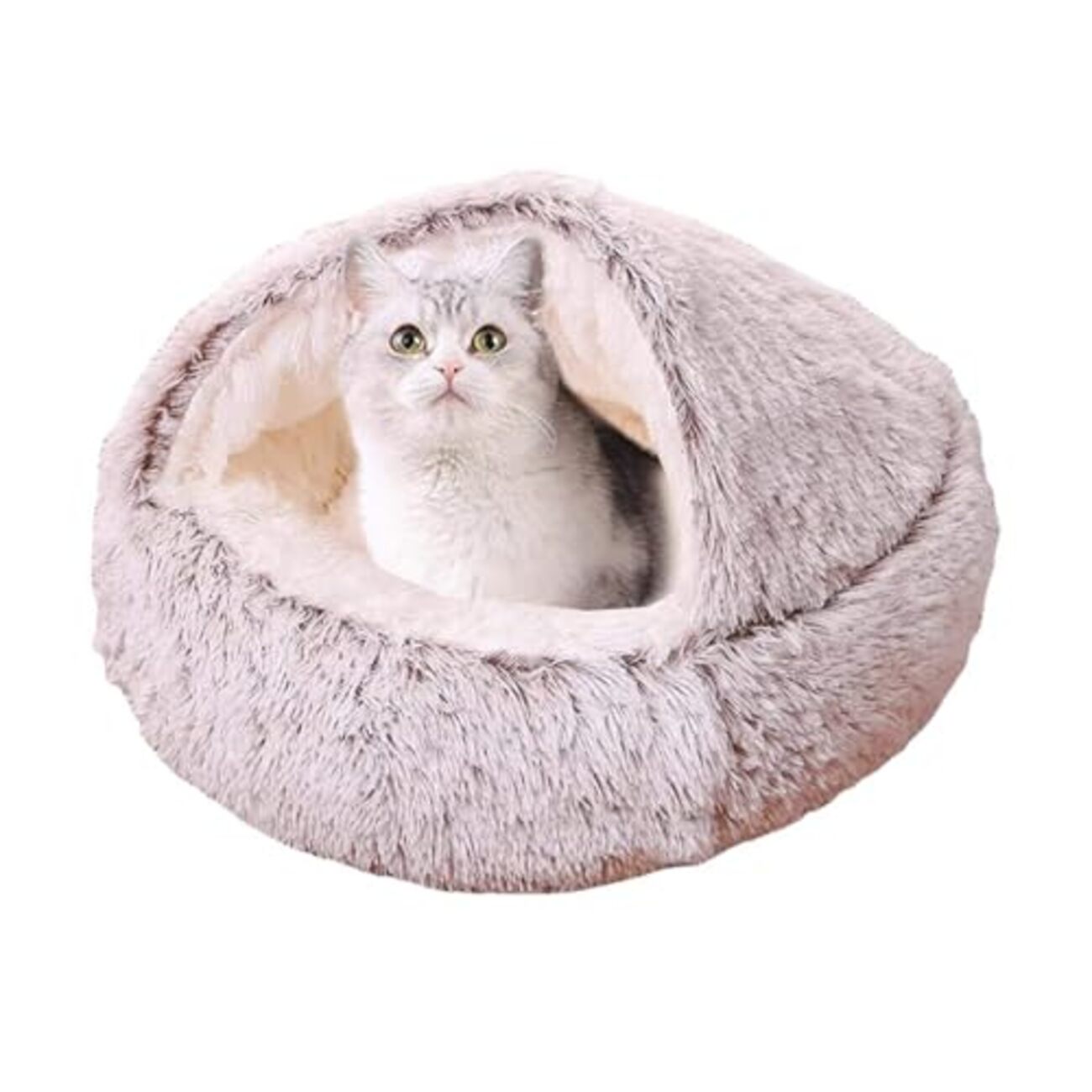 【DICOCO 貝殻型ペットベッド】ただのふわふわじゃない！愛犬・愛猫が夢中になる「秘密基地」の秘密を徹底解剖 - 癒しの時間帖