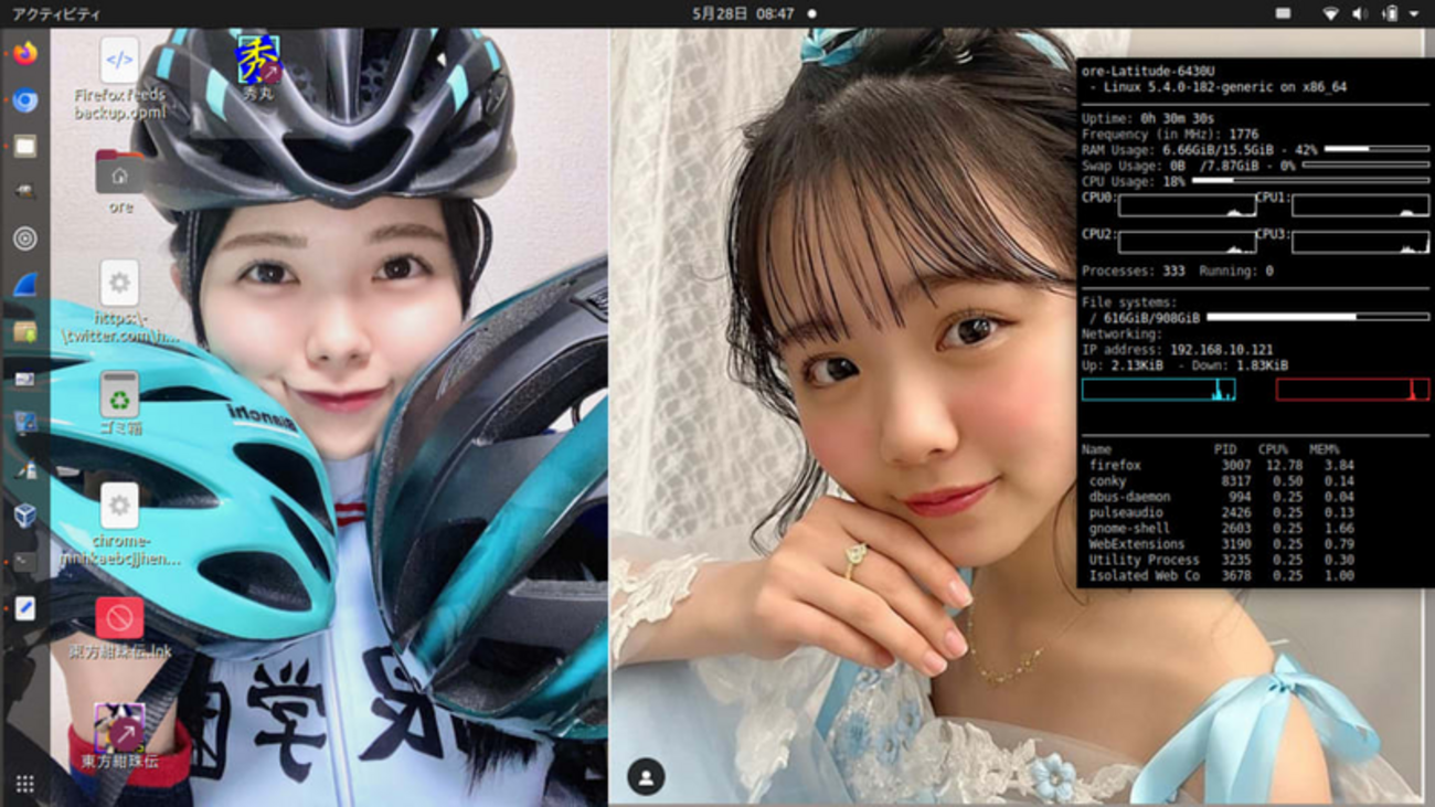 Conkyの透過化を今更ながら実現できた - 仮想環境研究所長のひとりごと