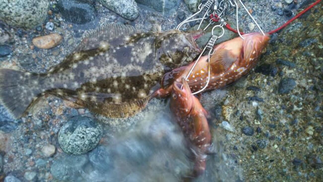 雨上がりの夕まずめ Jul.18 - Forest Sync.