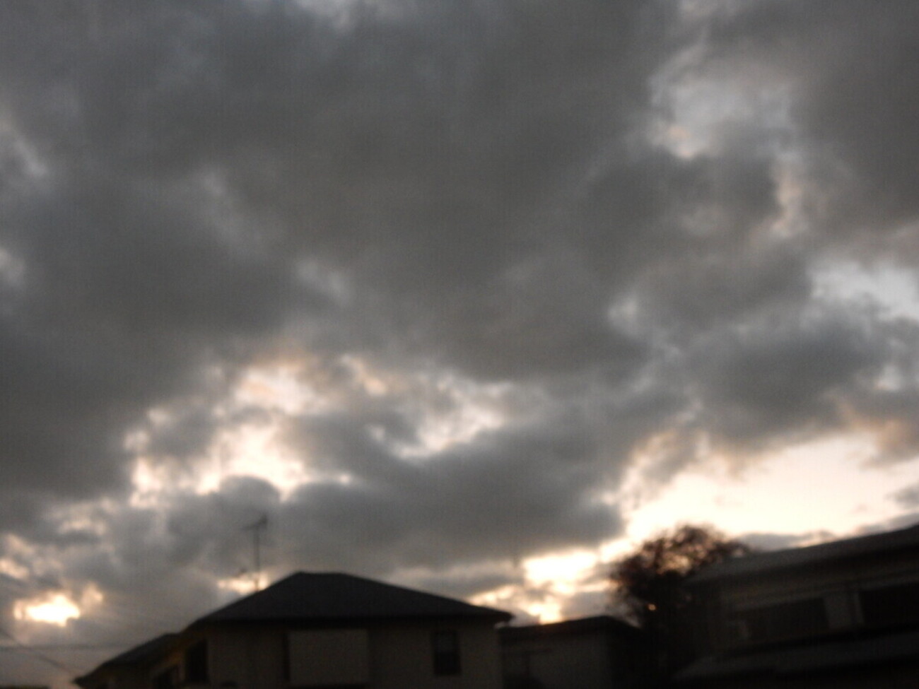 2025-12-24(Wed) - ワニ狩り連絡帳2