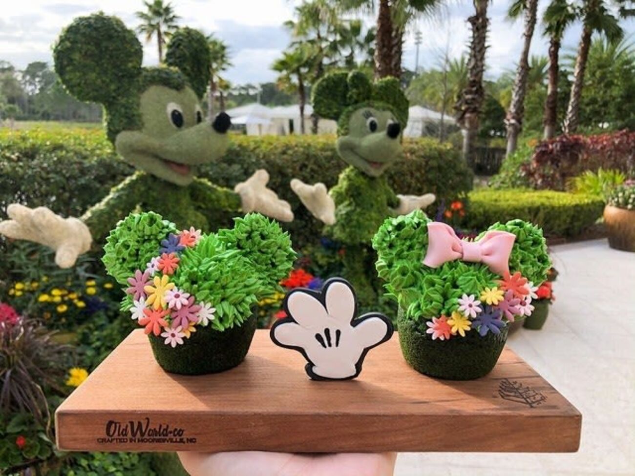 ミッキー＆ミニーのトピアリーカップケーキ - 植物アート・トピアリーブログ