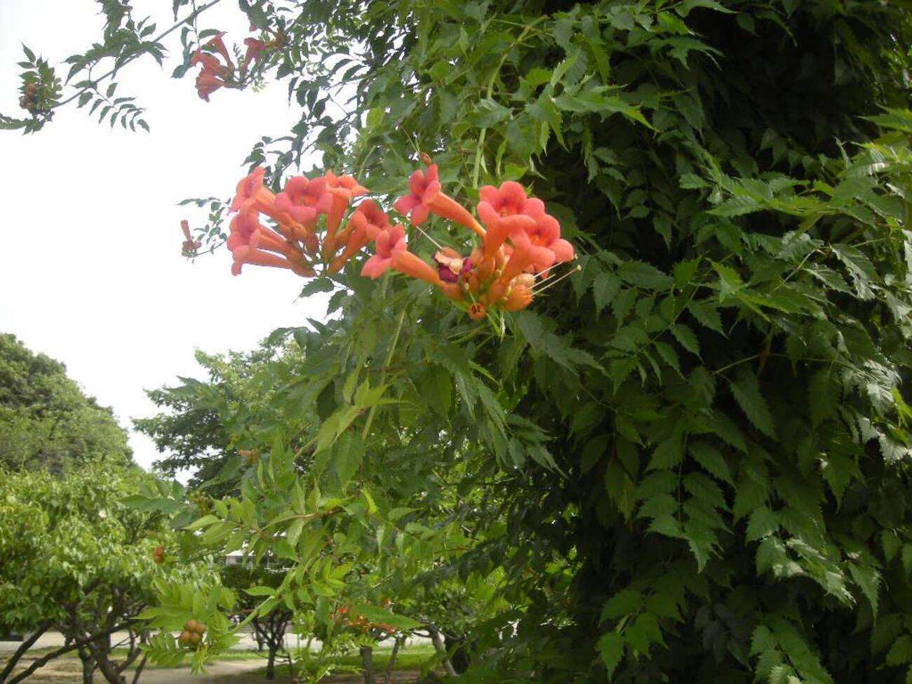 過去の日記から（376） - shacho-no-blogのブログ