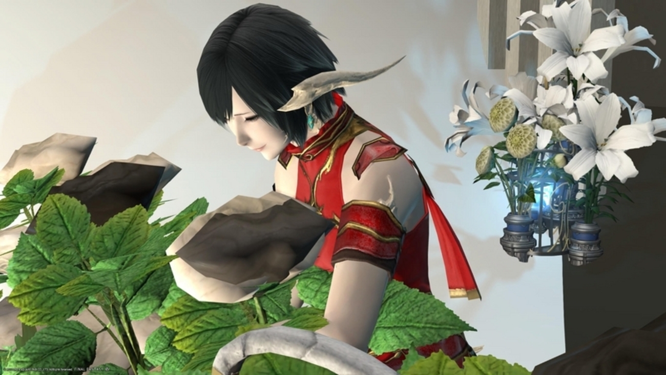 【イベント情報】エオルゼアシンフォニー2025開催決定！【FF14】 - マンドラゴラのアウラのつぶやき