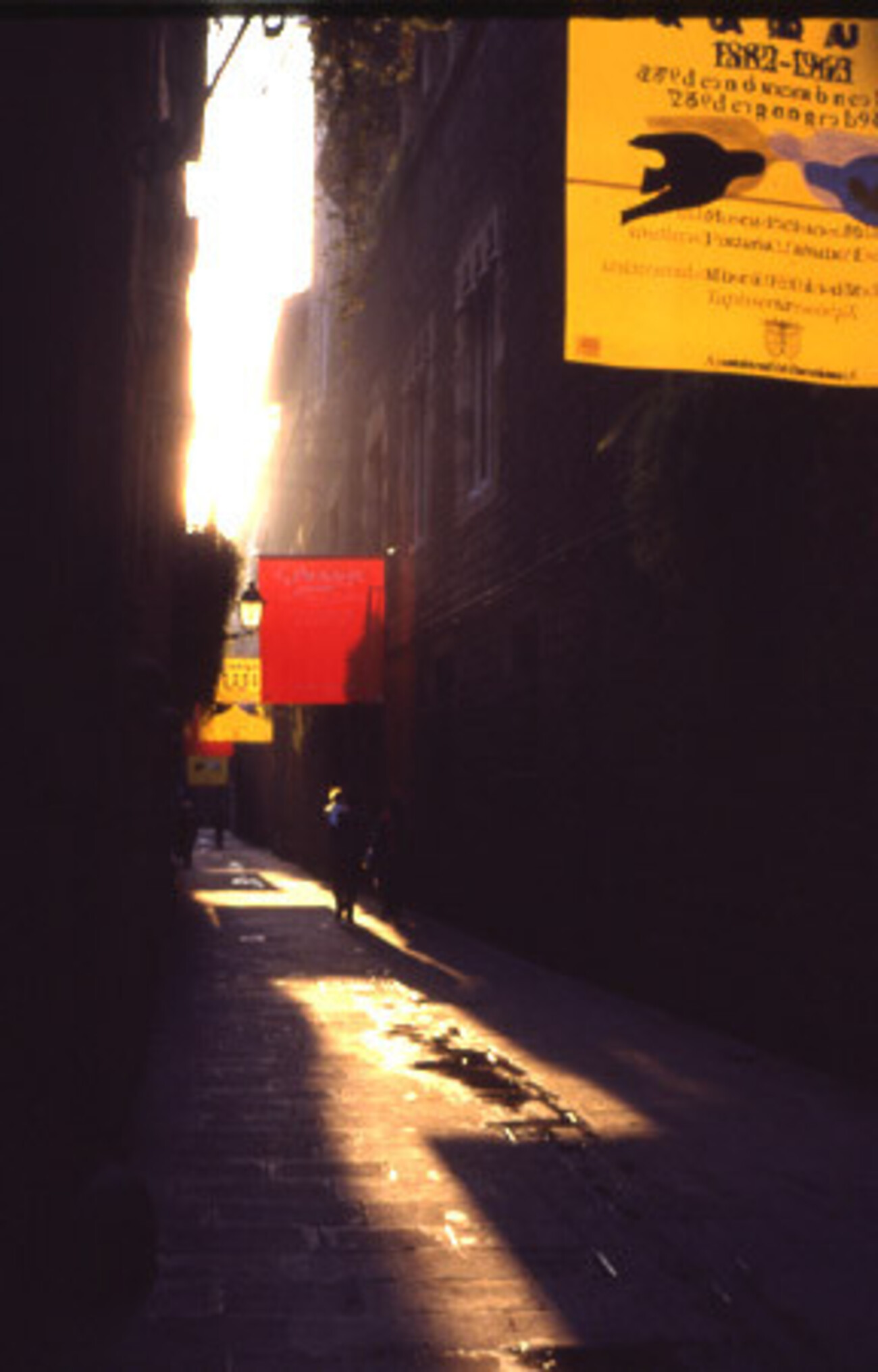 路地 - moyo : : diary