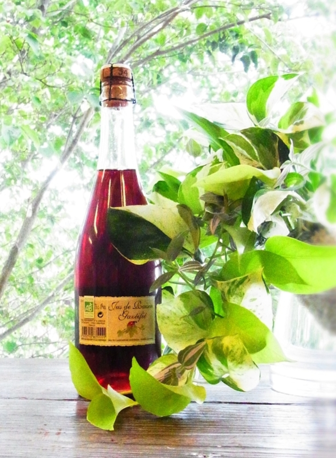 Gift - 花屋ふた葉 hanaya-futaba’s blog