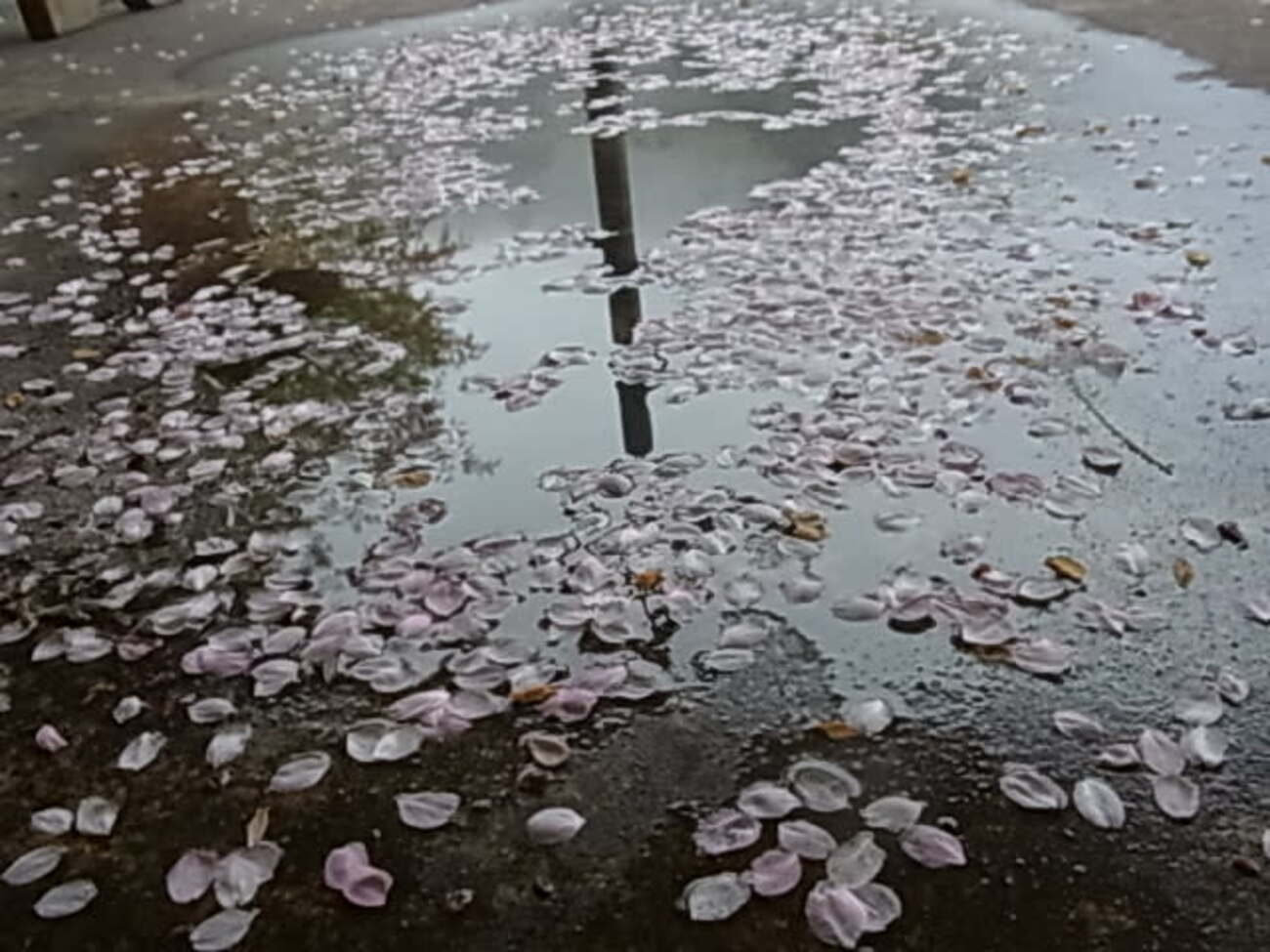 Twitter - kicmac-time