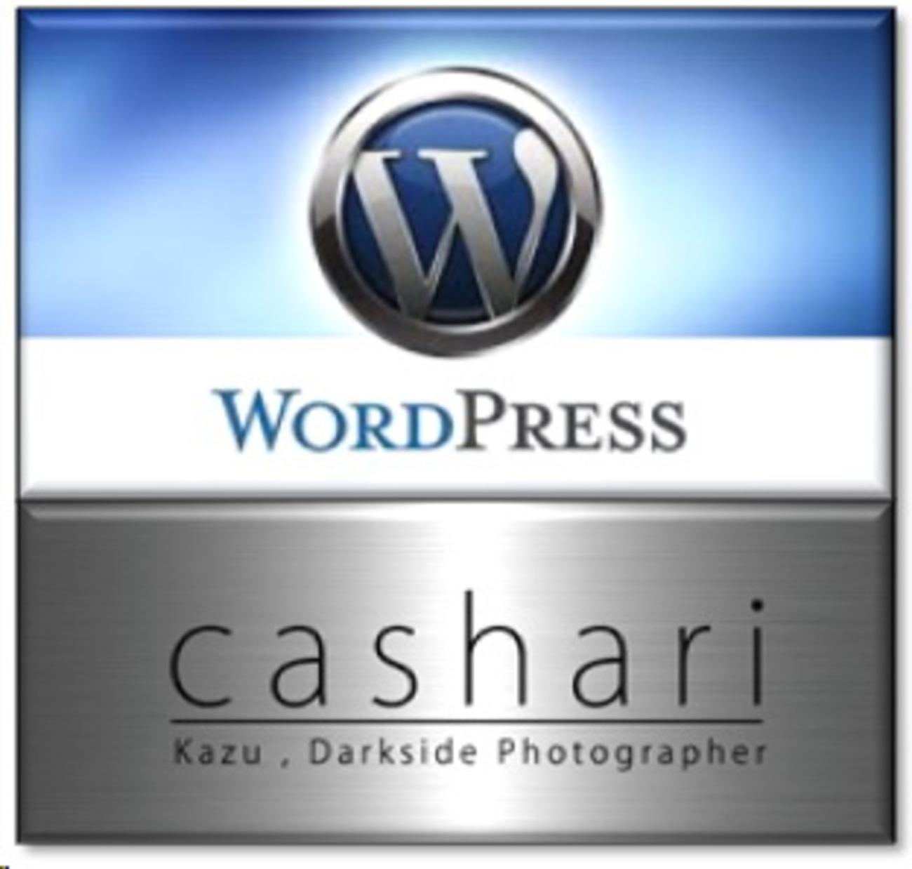 ExciteブログからWordPressへの引っ越し その2 - kazu-cashari Portrait Diary