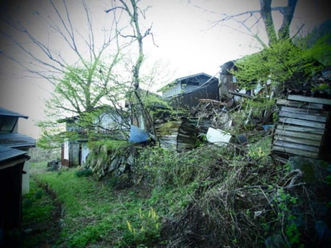 寂しげな春 Apr.26 - Forest Sync.