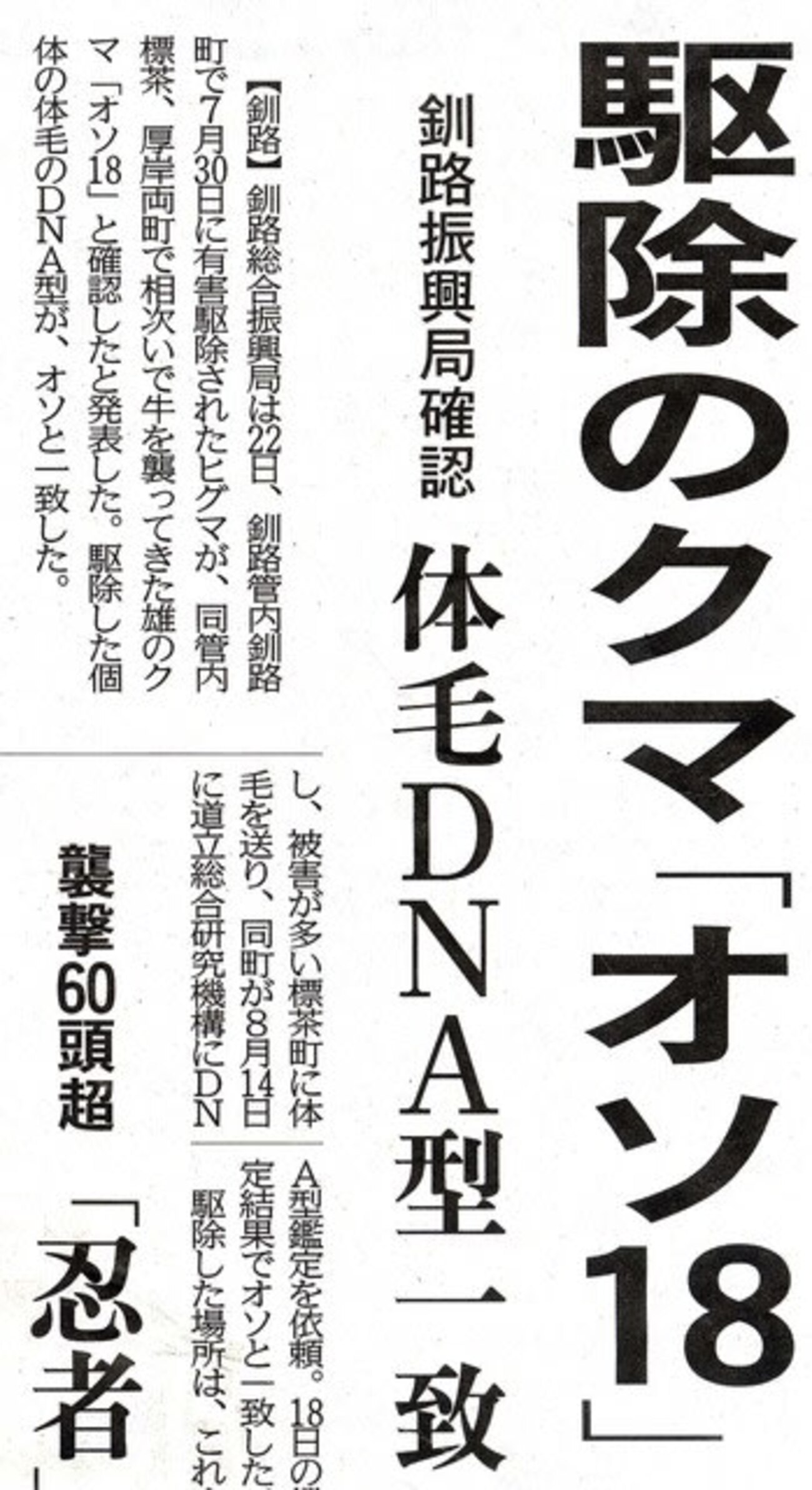 2023年度北海道ヒグマ狂想曲 - オショロコマの森ブログ5